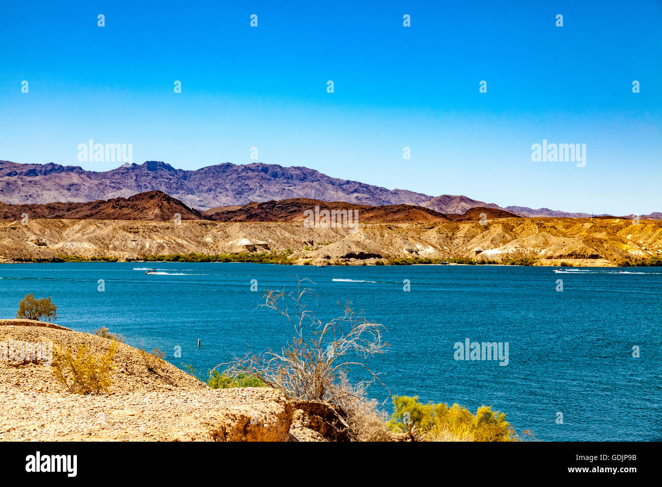 Lake Havasu Arizona Spring Break High Resolution Stock Photography and ...