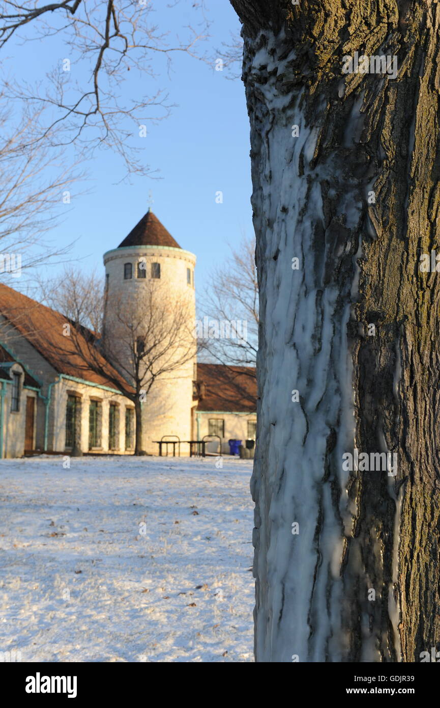 Half tree trunk hi-res stock photography and images - Alamy