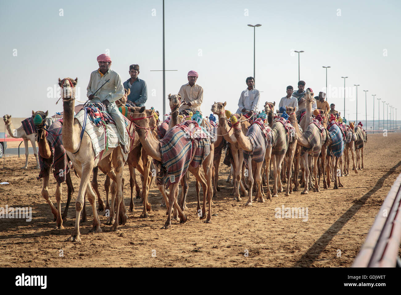 Camel racing dubai united arab emirates hi-res stock photography and ...