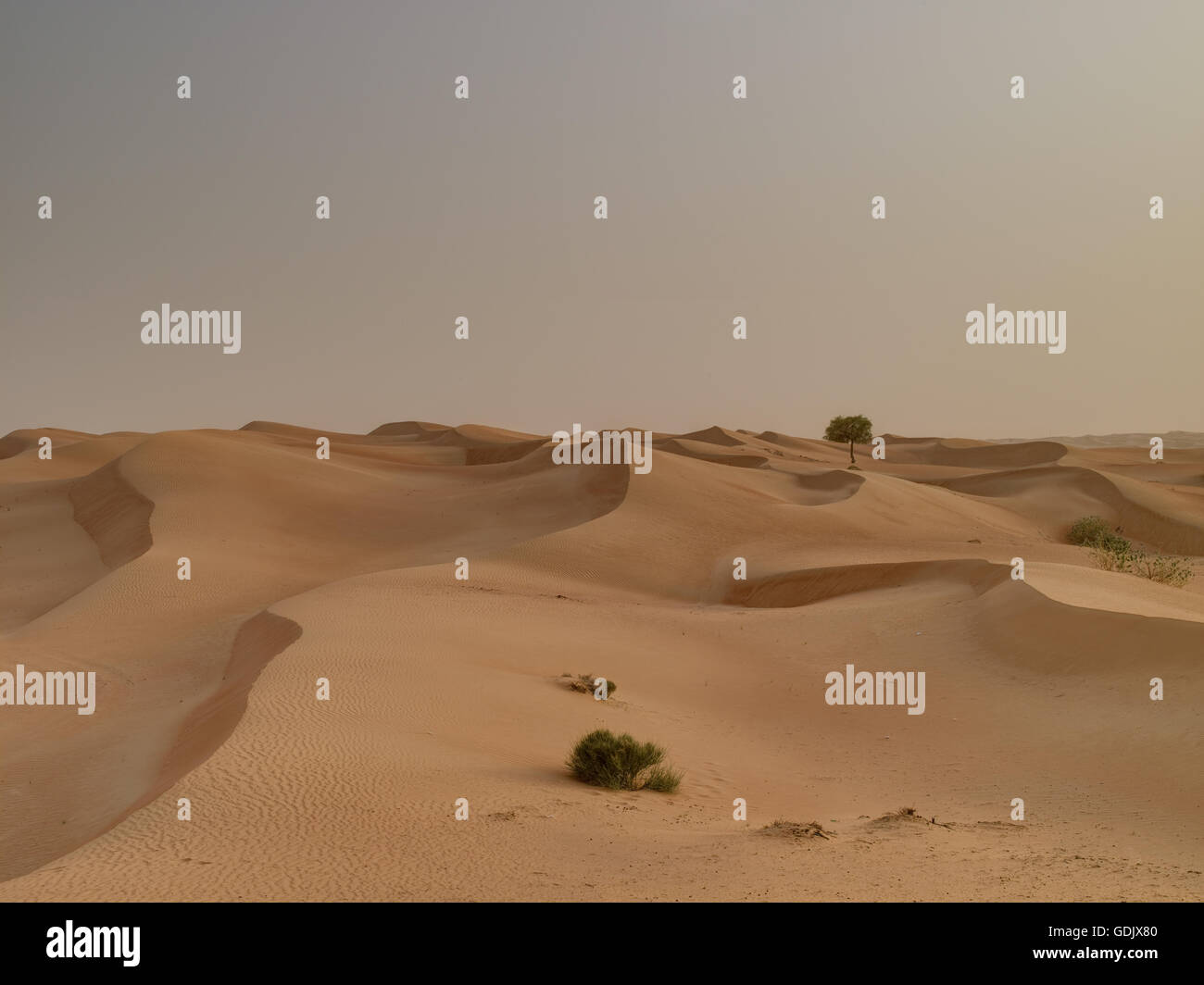 Desert Dunes, Margham. Dubai, UAE Stock Photo - Alamy