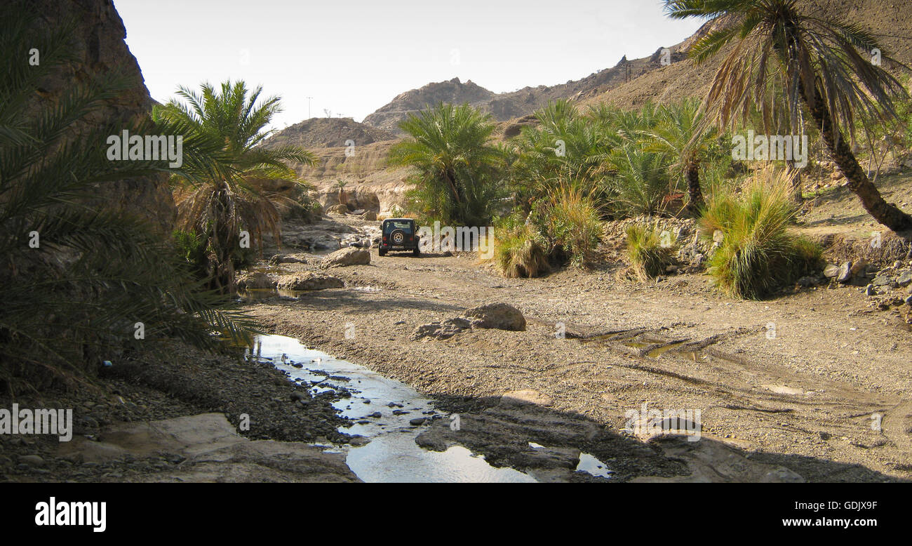 Wadi uae hi-res stock photography and images - Alamy