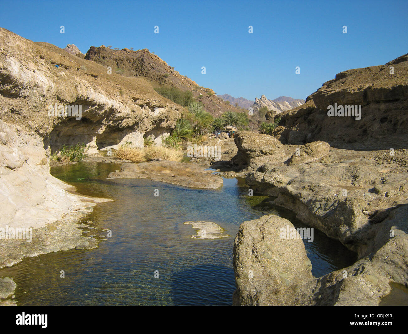 Wadi, UAE Stock Photo: 111668531 - Alamy