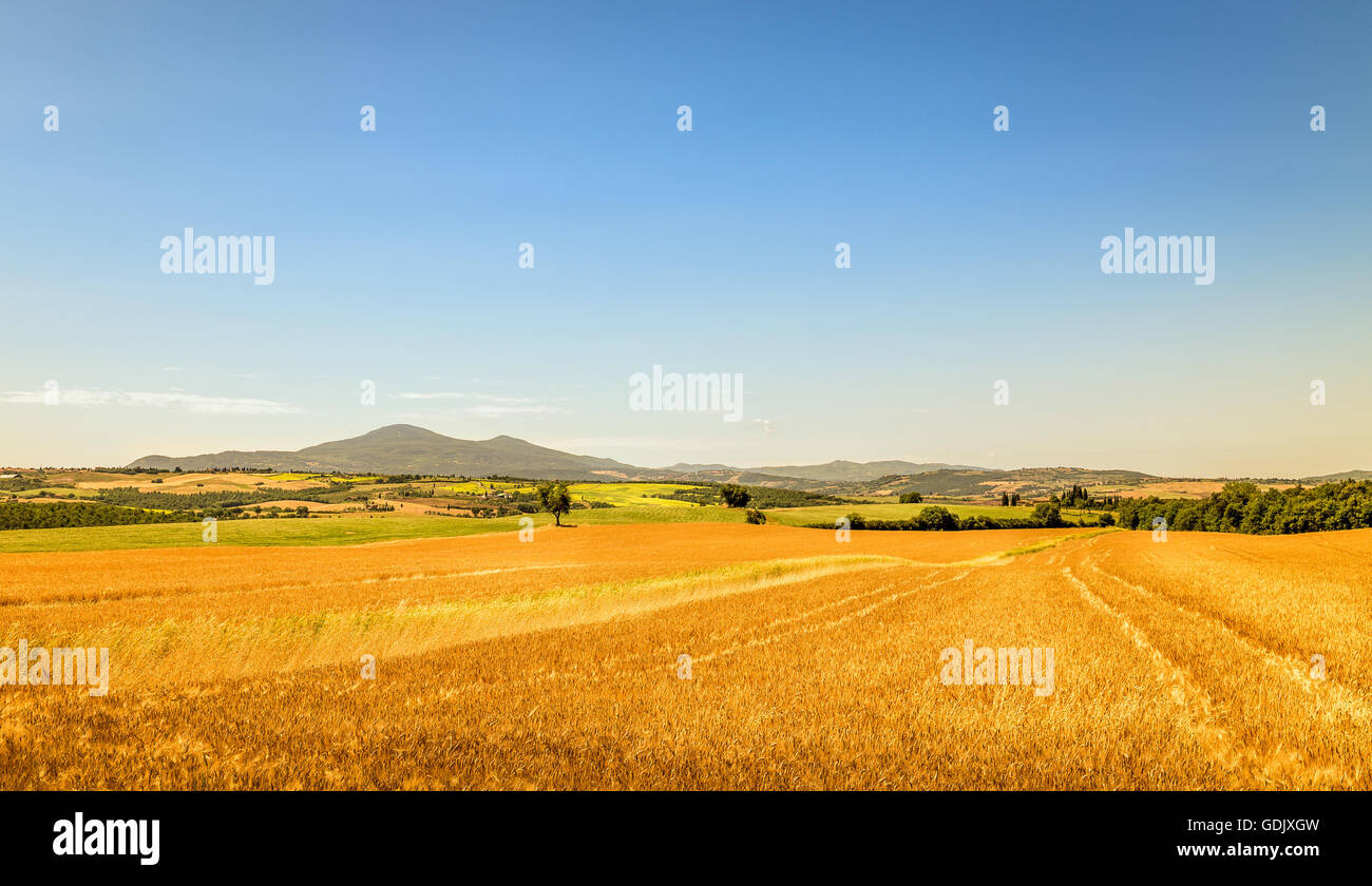 Tuscany summer landscape hi-res stock photography and images - Alamy