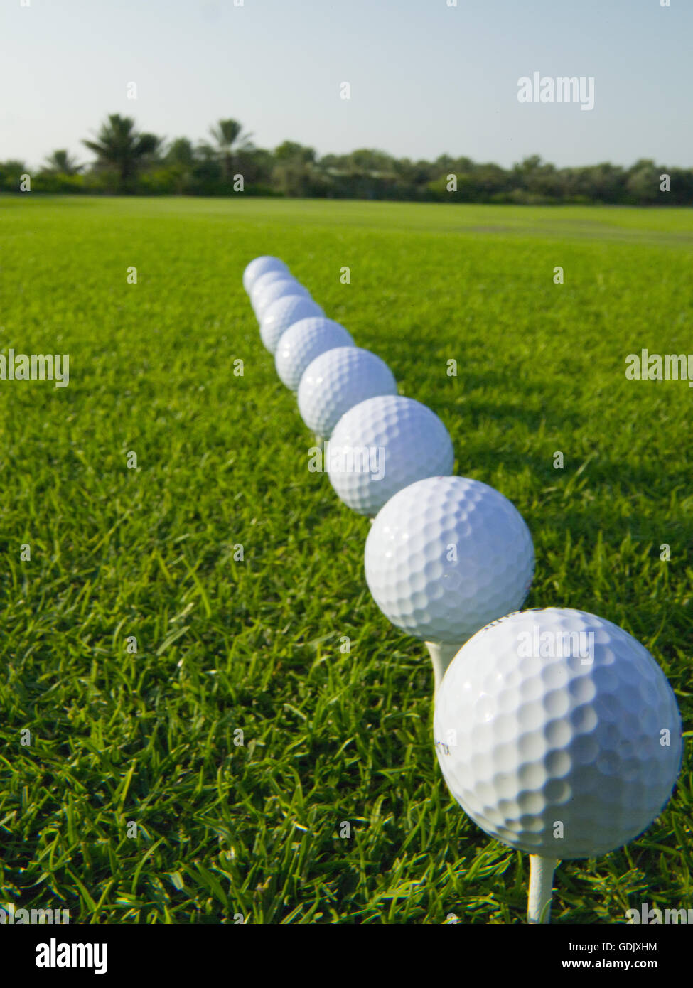 Golf Balls in a line on tees Stock Photo - Alamy
