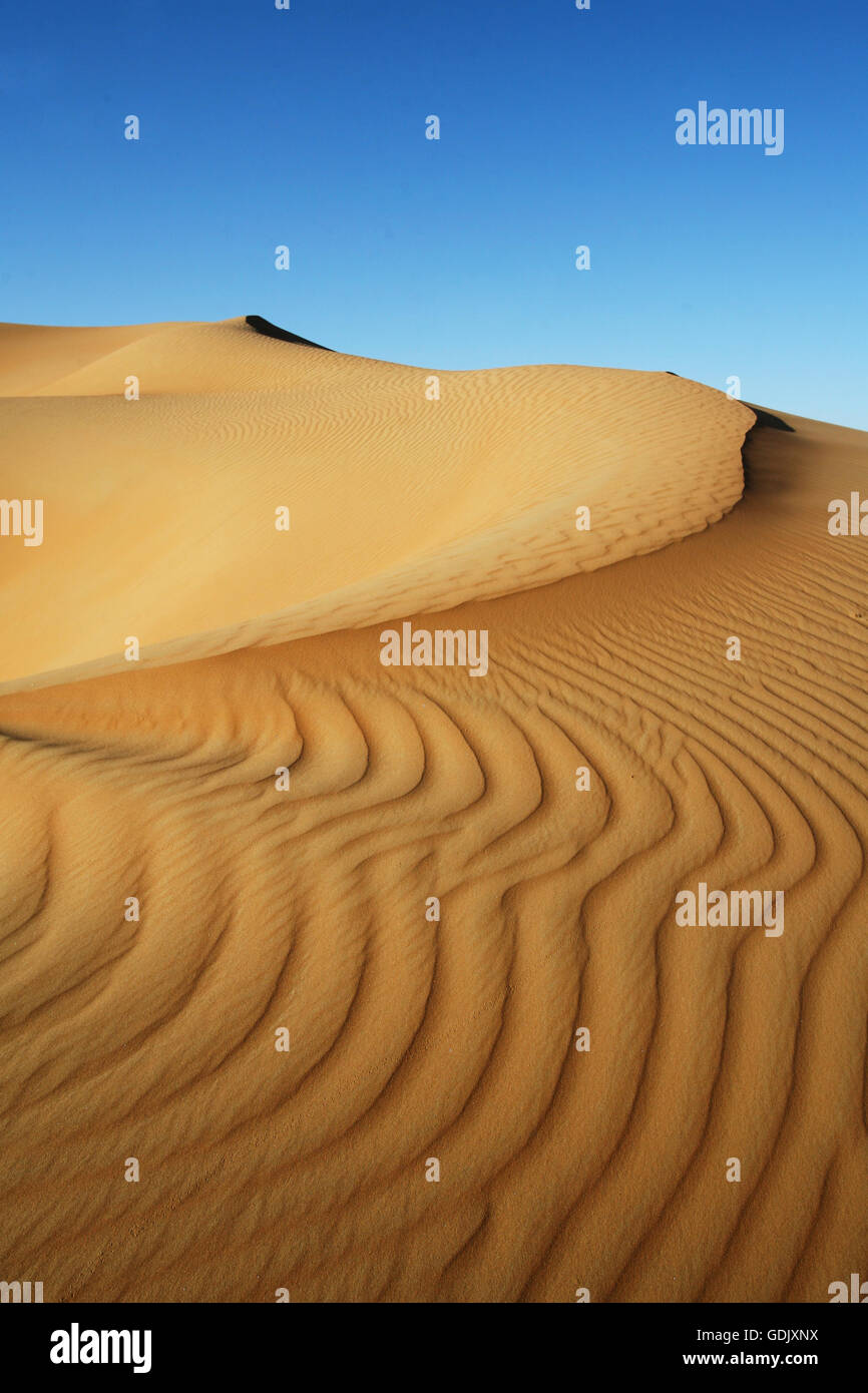 Sand dune in the desert of Dubai, United Arab Emirates Stock Photo - Alamy