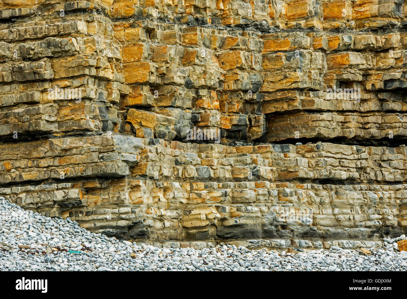 Liassic limestone cliffs and rockfall evidence at Colhugh Beach ...