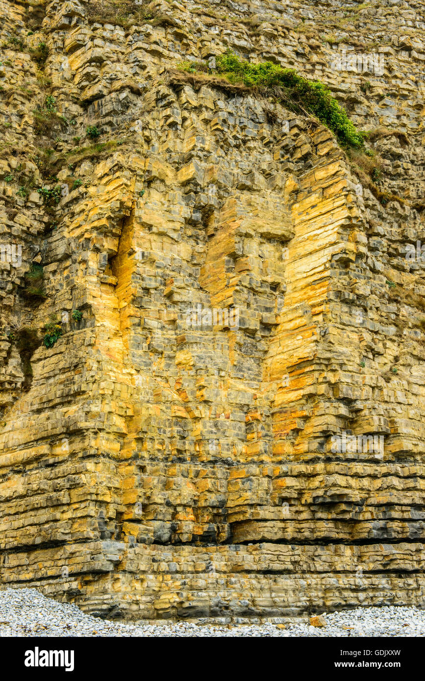 Liassic limestone cliffs and rockfall evidence at Colhugh Beach ...