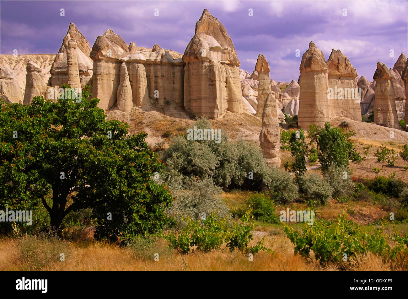 Fairy Chimneys rock formation nearby Goreme in Cappadocia, Turkey Stock ...