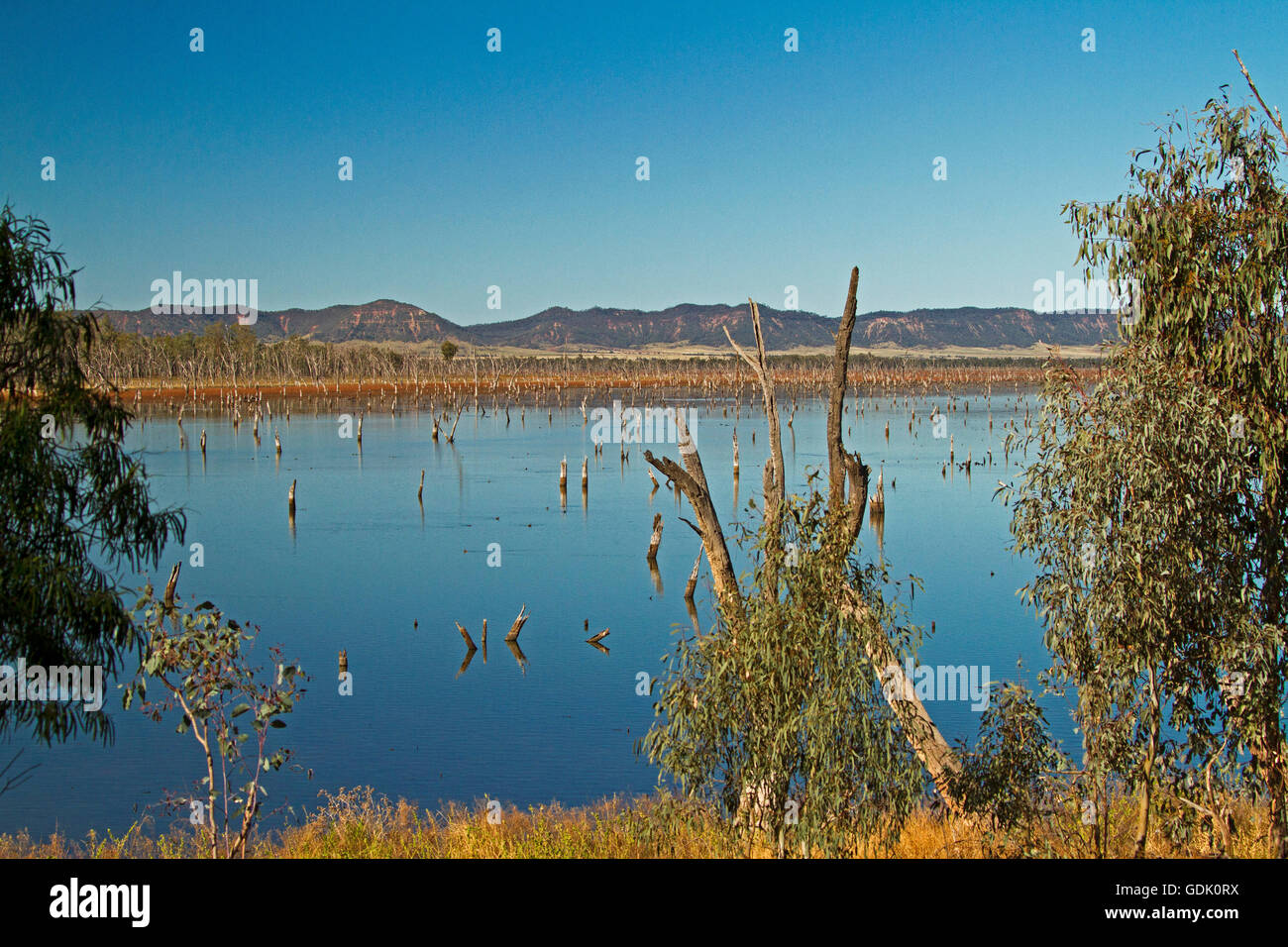 Qld australia hi-res stock photography and images - Alamy