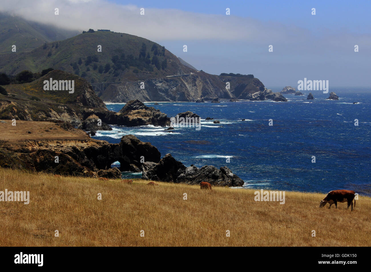 Big Sur California coastline Brian McGuire Stock Photo - Alamy