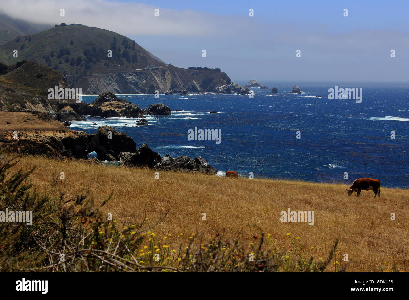 Big Sur California coastline Brian McGuire Stock Photo - Alamy