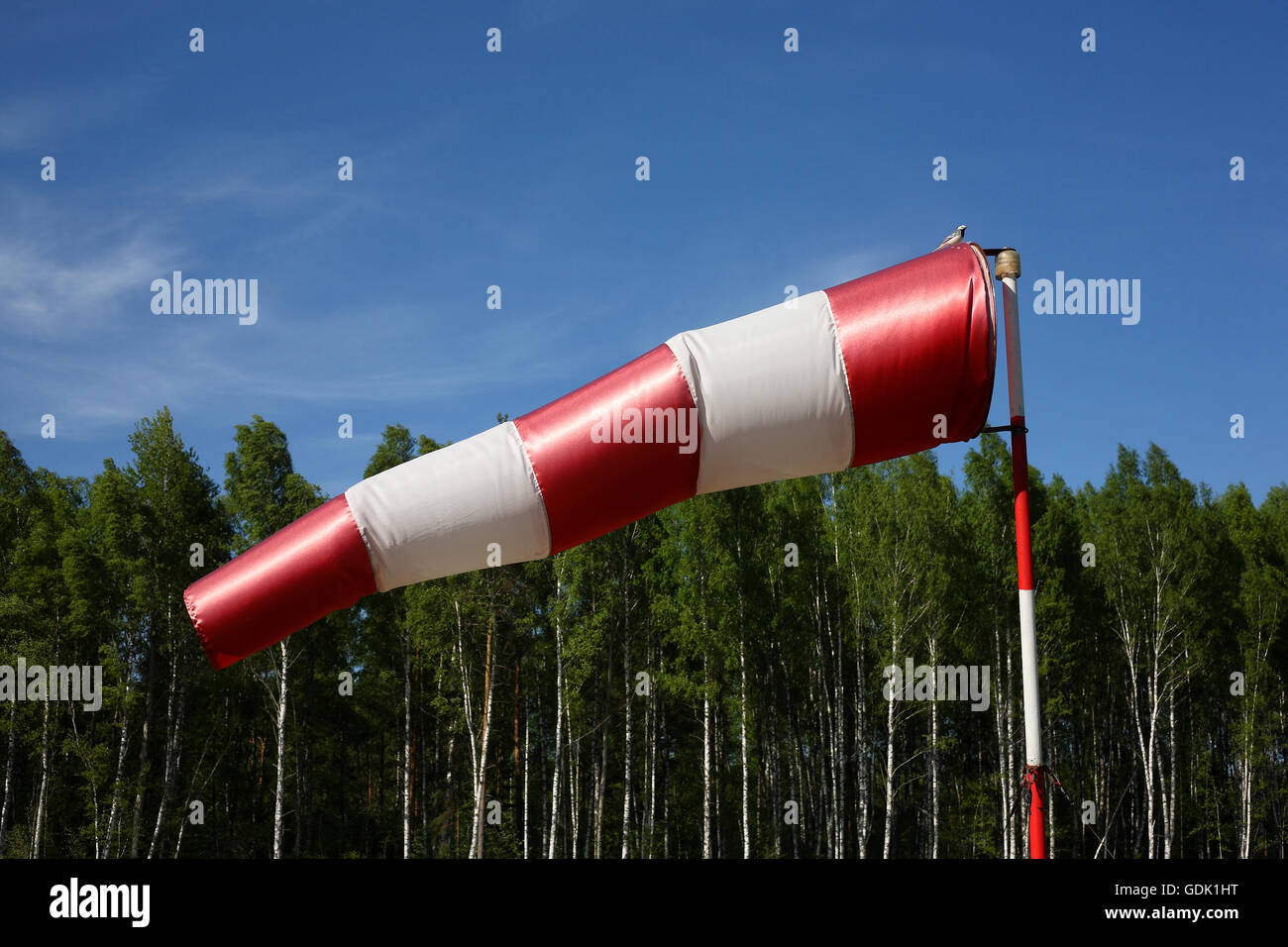 Windsock and bird the cloudy sky background. Wind southwest Stock Photo ...
