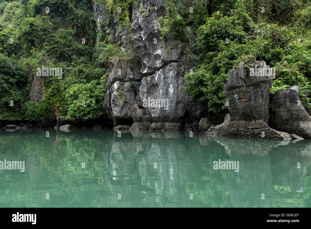 Lagoon environment hi-res stock photography and images - Alamy