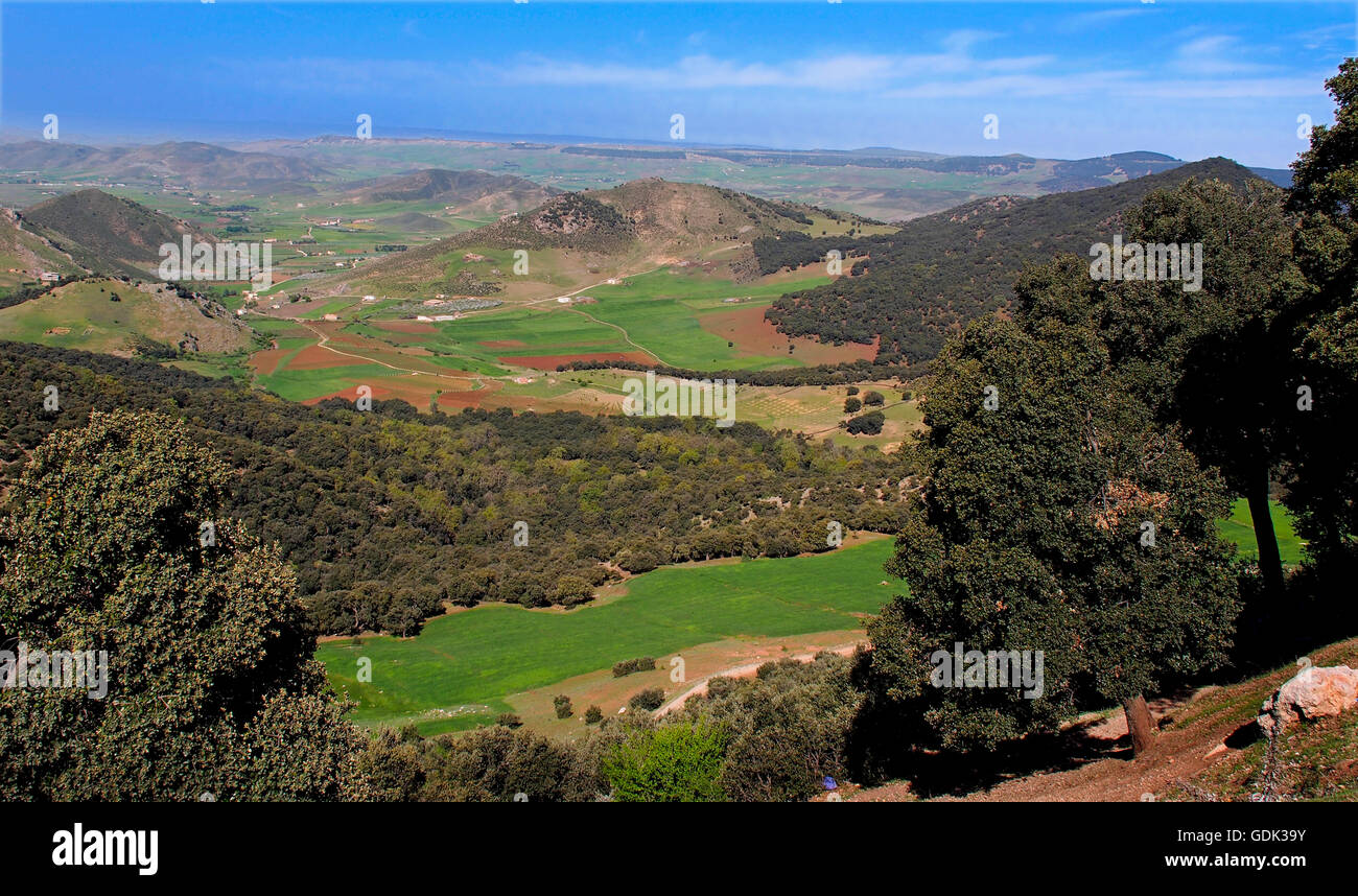 Ito volcanic landscape near Azrou, Morocco Stock Photo - Alamy