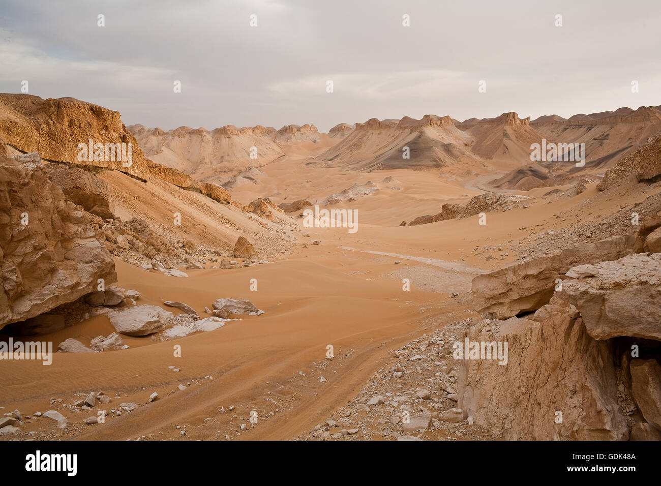 A desert path marked-out by the British army over 100 years ago leads ...