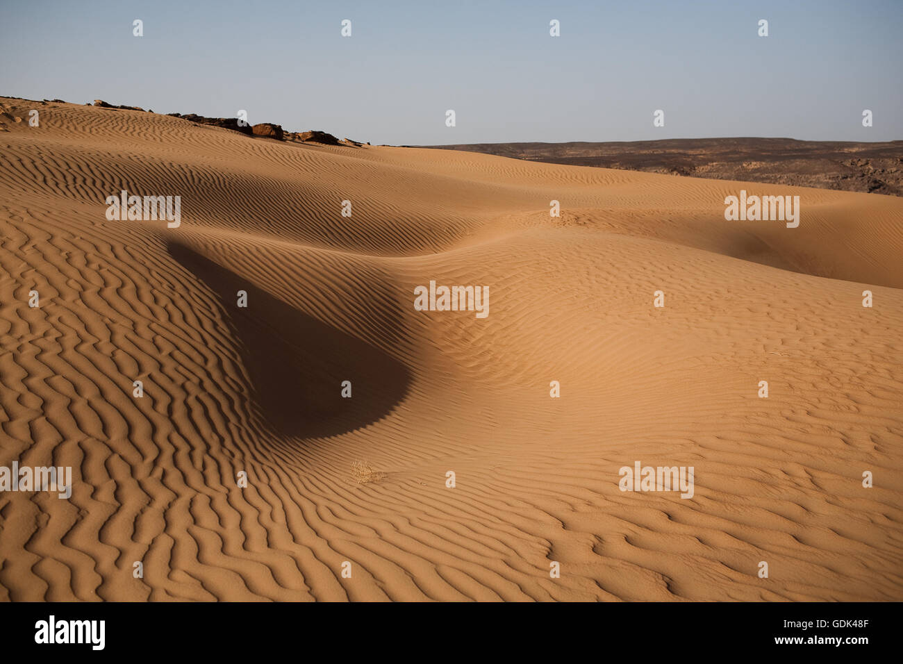 Wadi Menih, Eastern desert, Egypt Stock Photo - Alamy