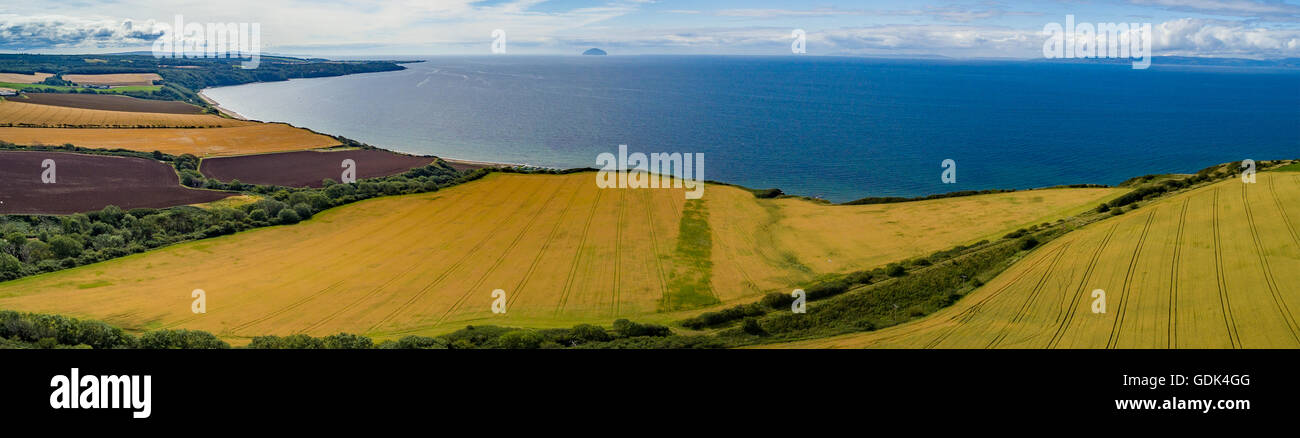 South Ayrshire yellow fields Stock Photo - Alamy