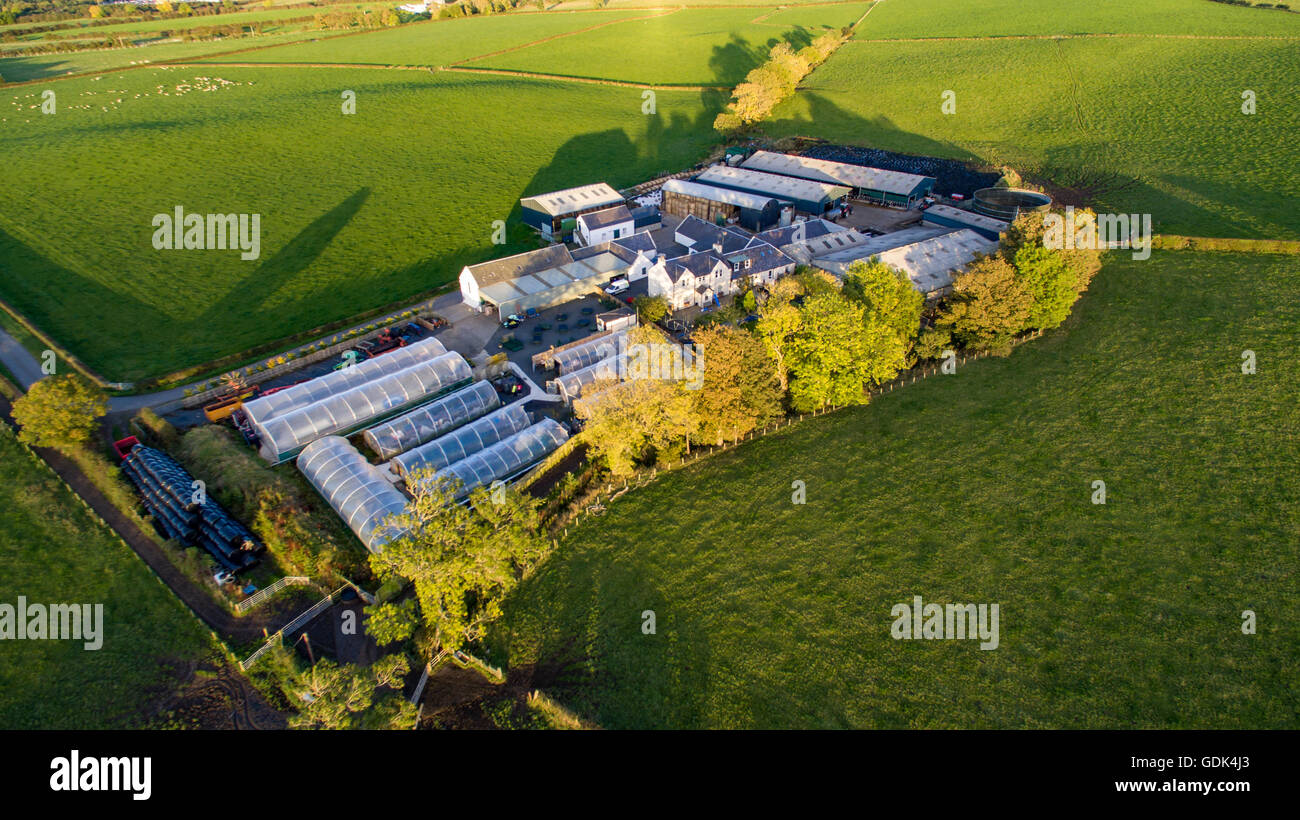 Milking cows scotland hi-res stock photography and images - Alamy