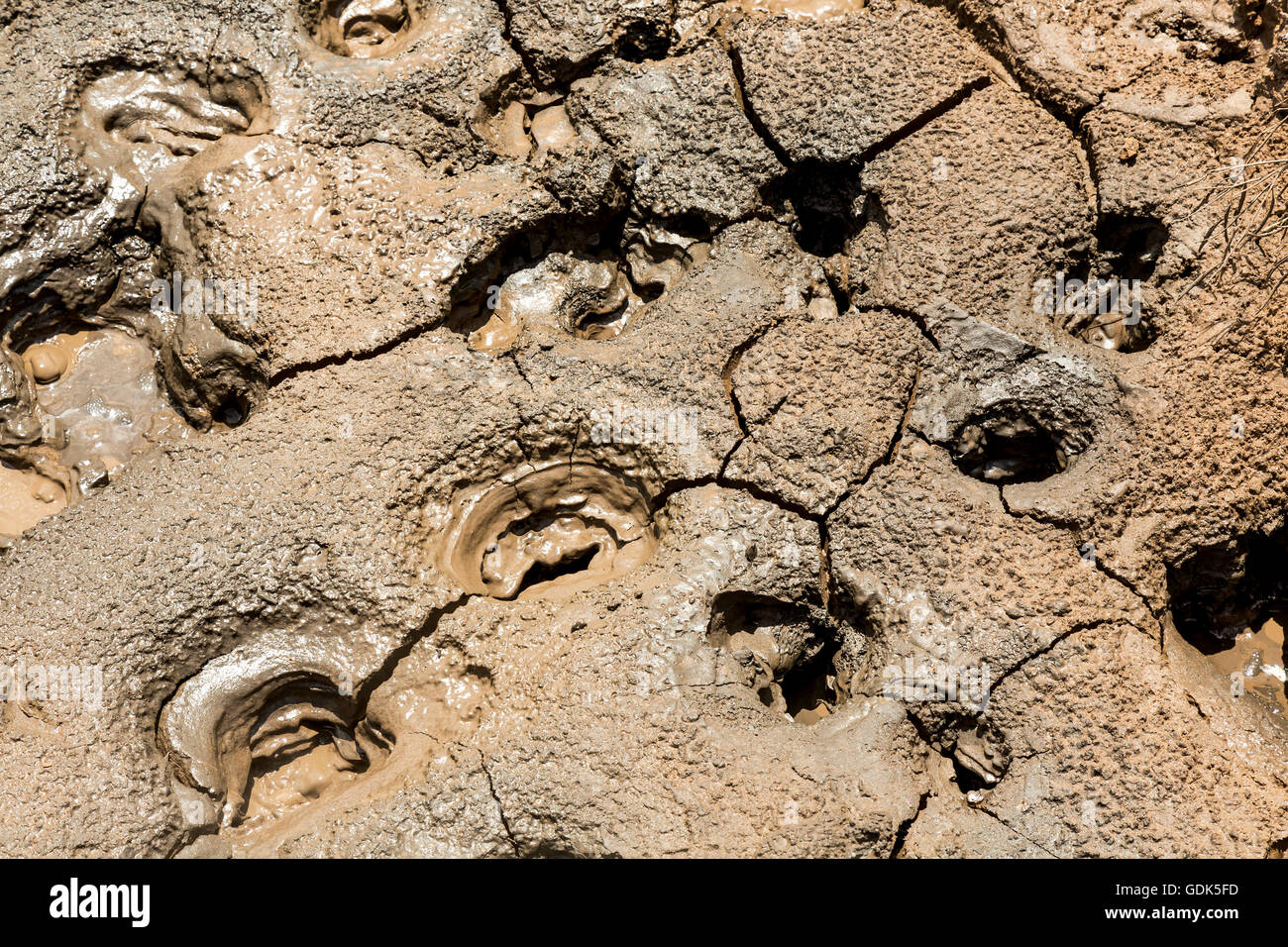 Dry mud pattern hi-res stock photography and images - Alamy