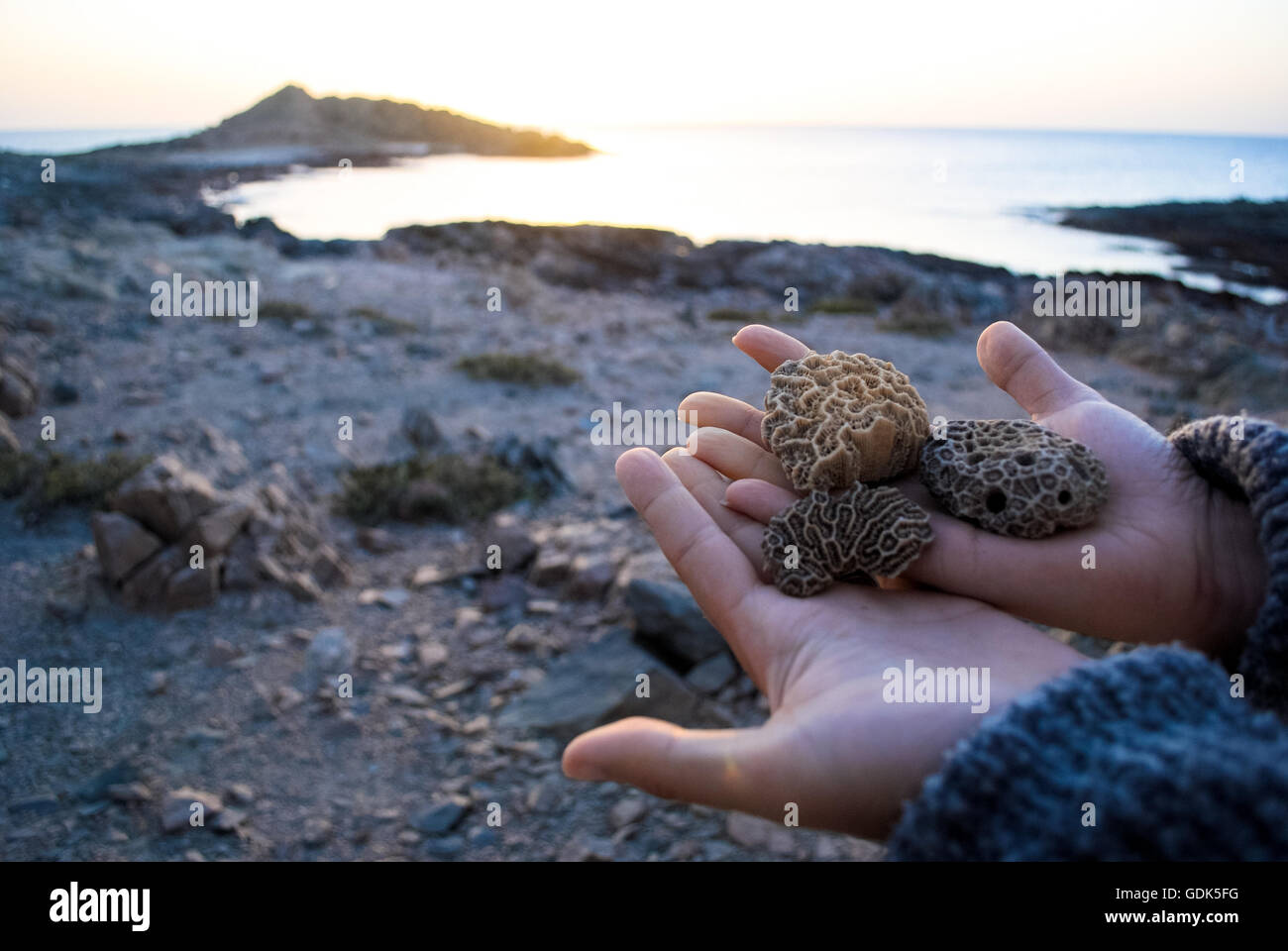 Coral on the beach, As Sodah Island, Muriya luxury resort under ...