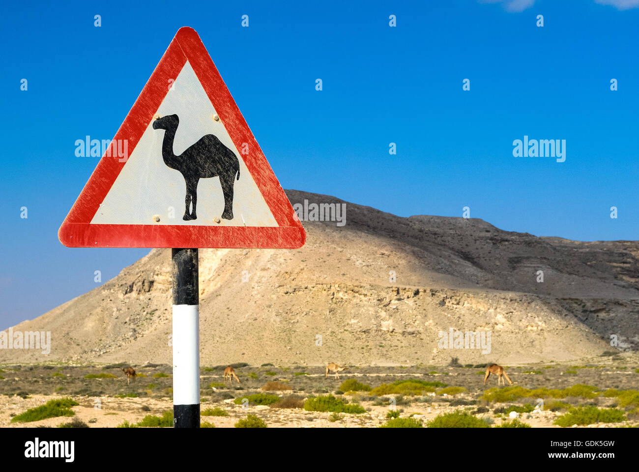 East sign hi-res stock photography and images - Alamy