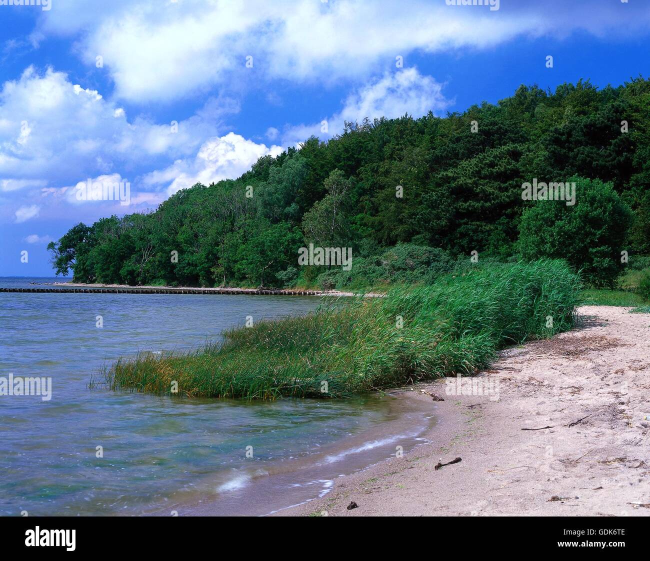 West rugen bodden hi-res stock photography and images - Alamy