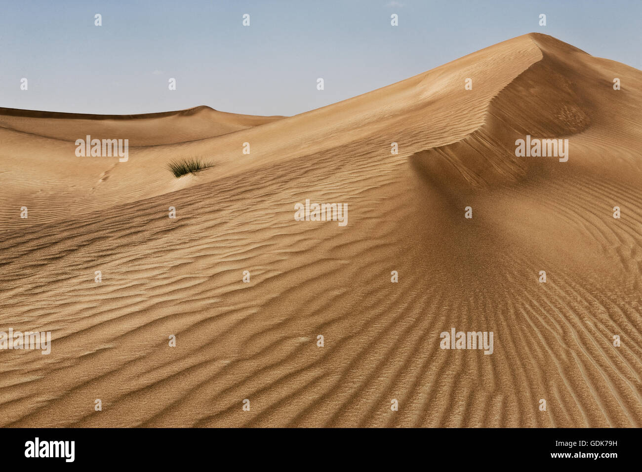 Sand dunes in the desert near Abu Dhabi, United Arab Emirates Stock ...