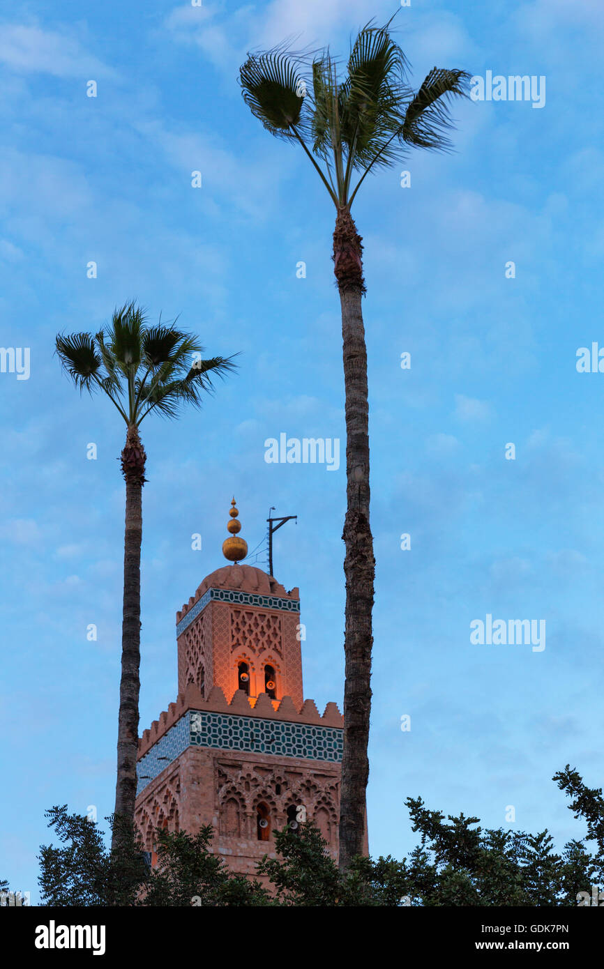Minaret of Koutoubia Mosque and tall palm trees in Marrakech, Morocco ...