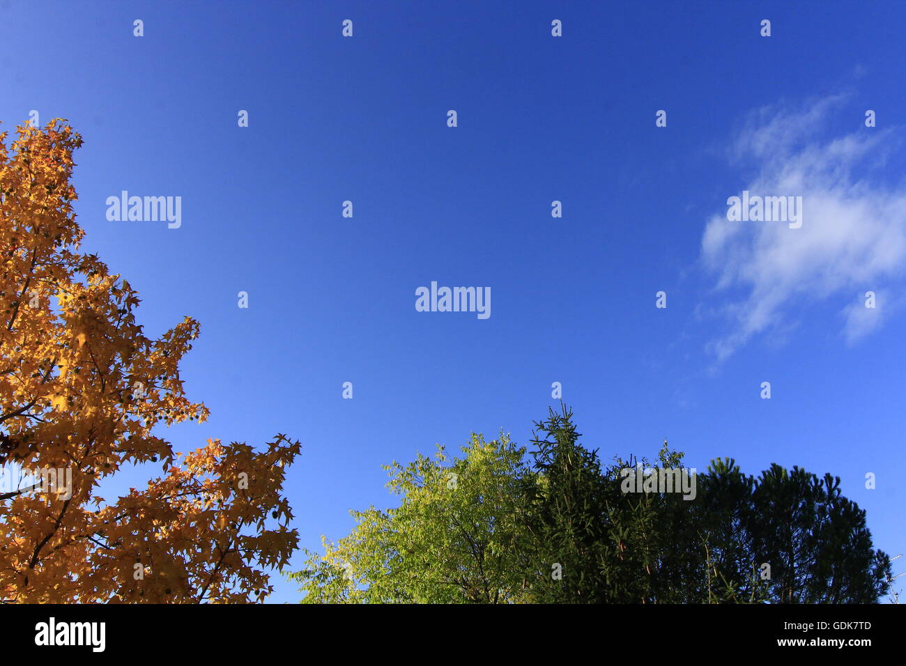 Beautiful in blue tones hi-res stock photography and images - Alamy