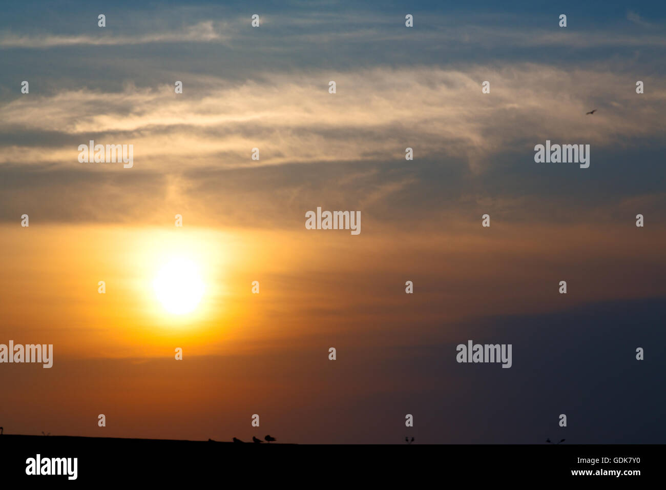 the blurred sun falling down arabian sea ocean in oman coastline Stock ...