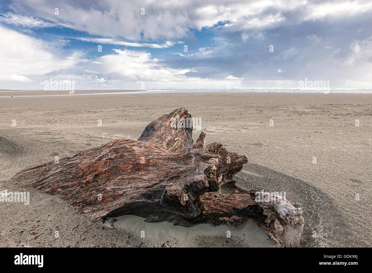 Log on sand hi-res stock photography and images - Alamy