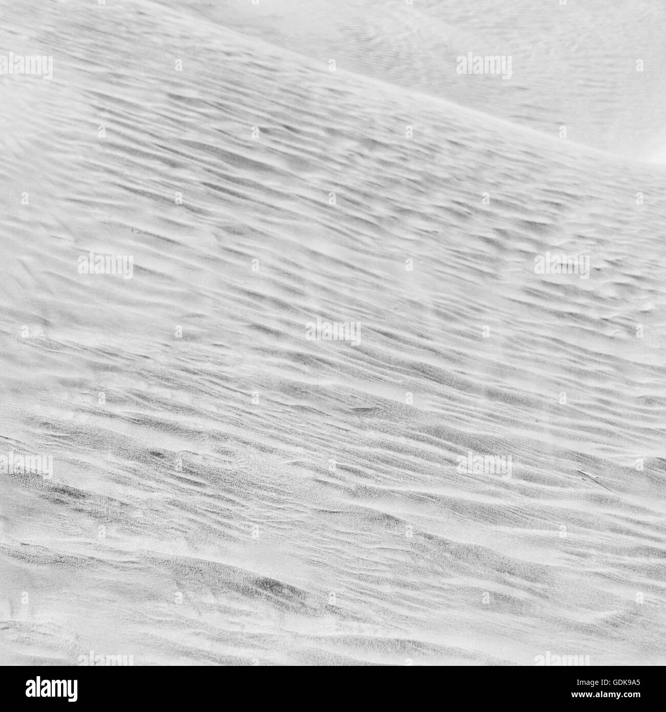 abstract texture line wave in oman the old desert and the empty quarter ...