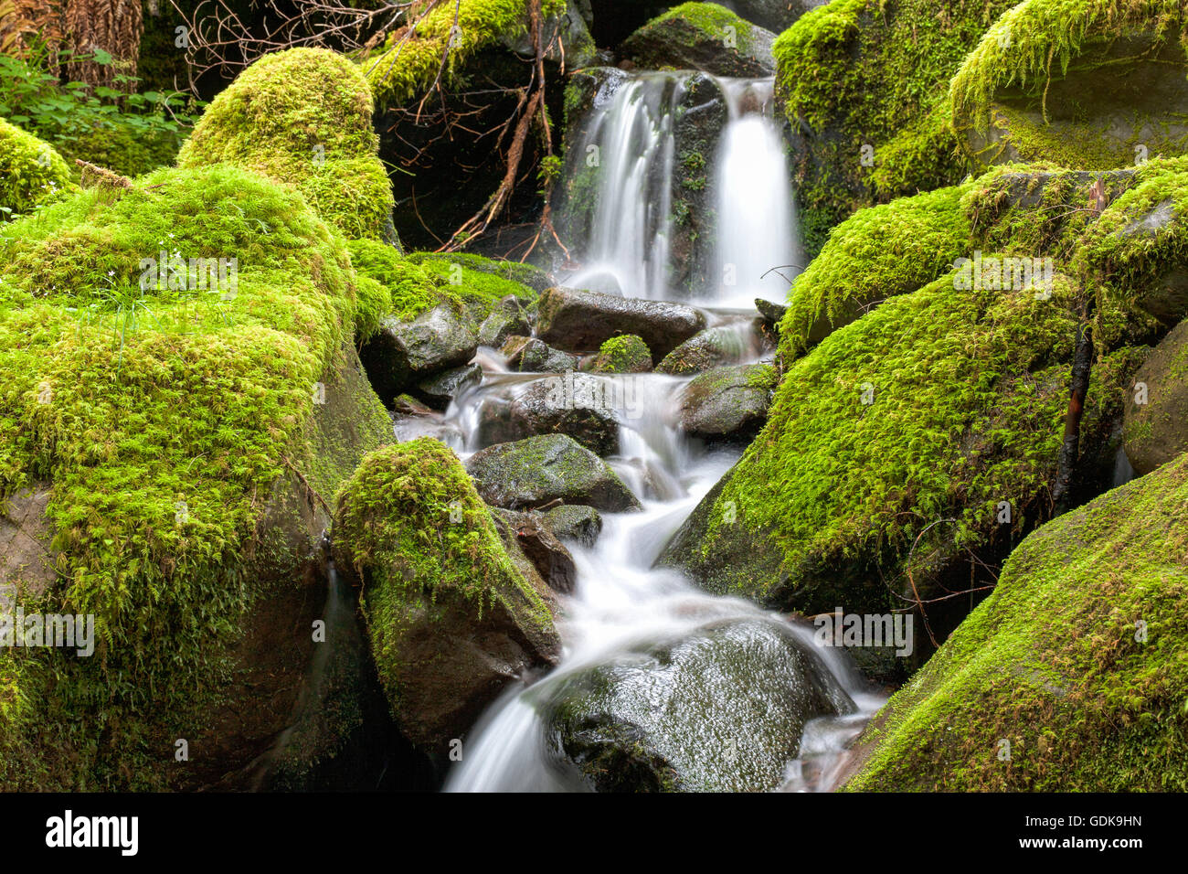 Close up of small waterfall and mossy rocks Stock Photo - Alamy