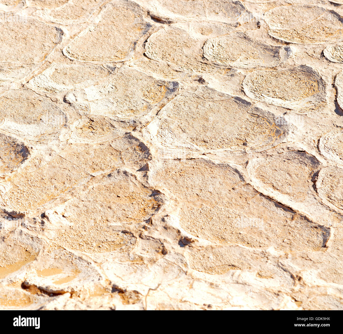 old desert and the abstract cracked sand texture in oman rub al khali ...