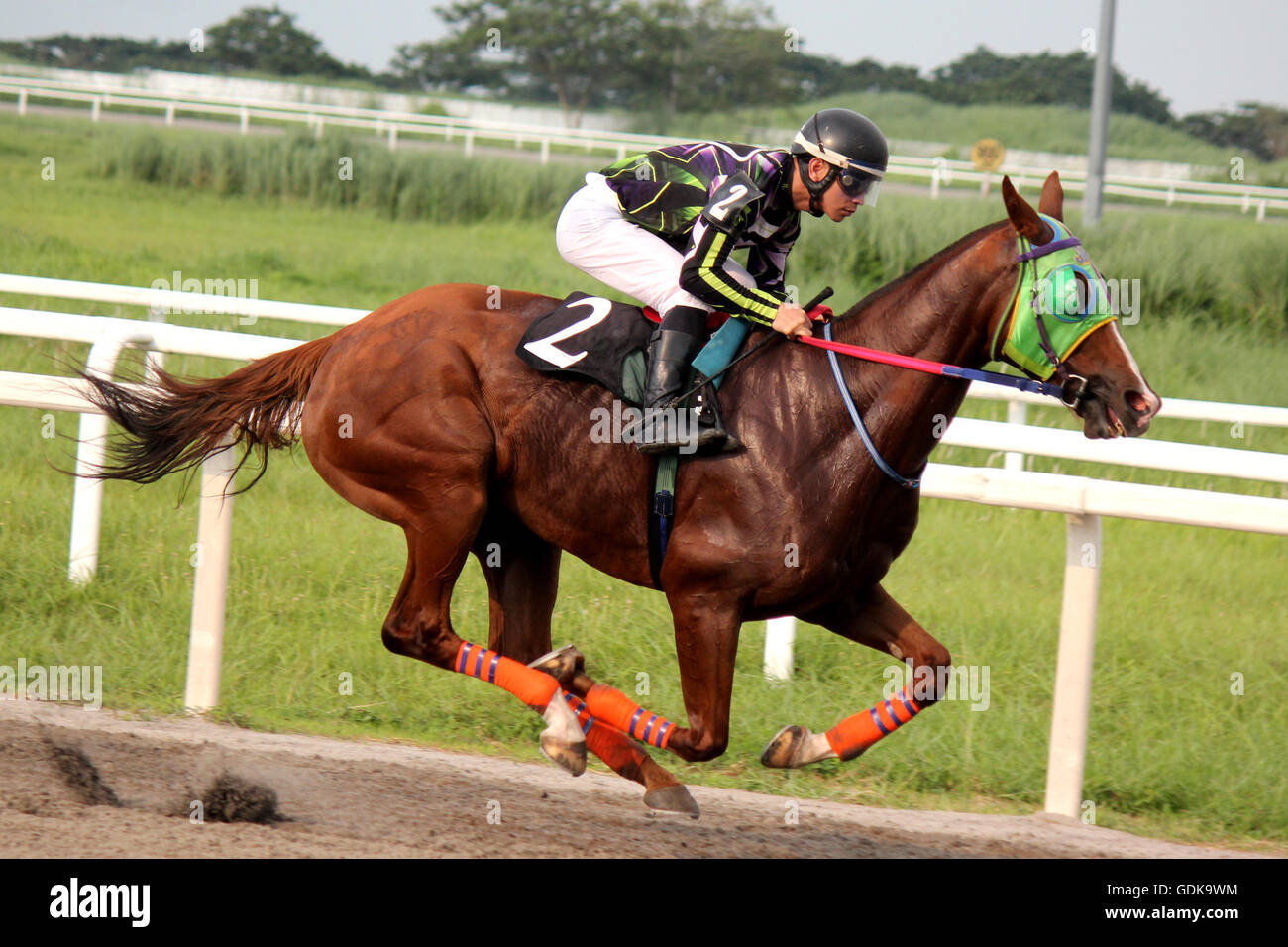 Philippines. 17th July, 2016. Horse number 2 “Giant Rainbow” with ...