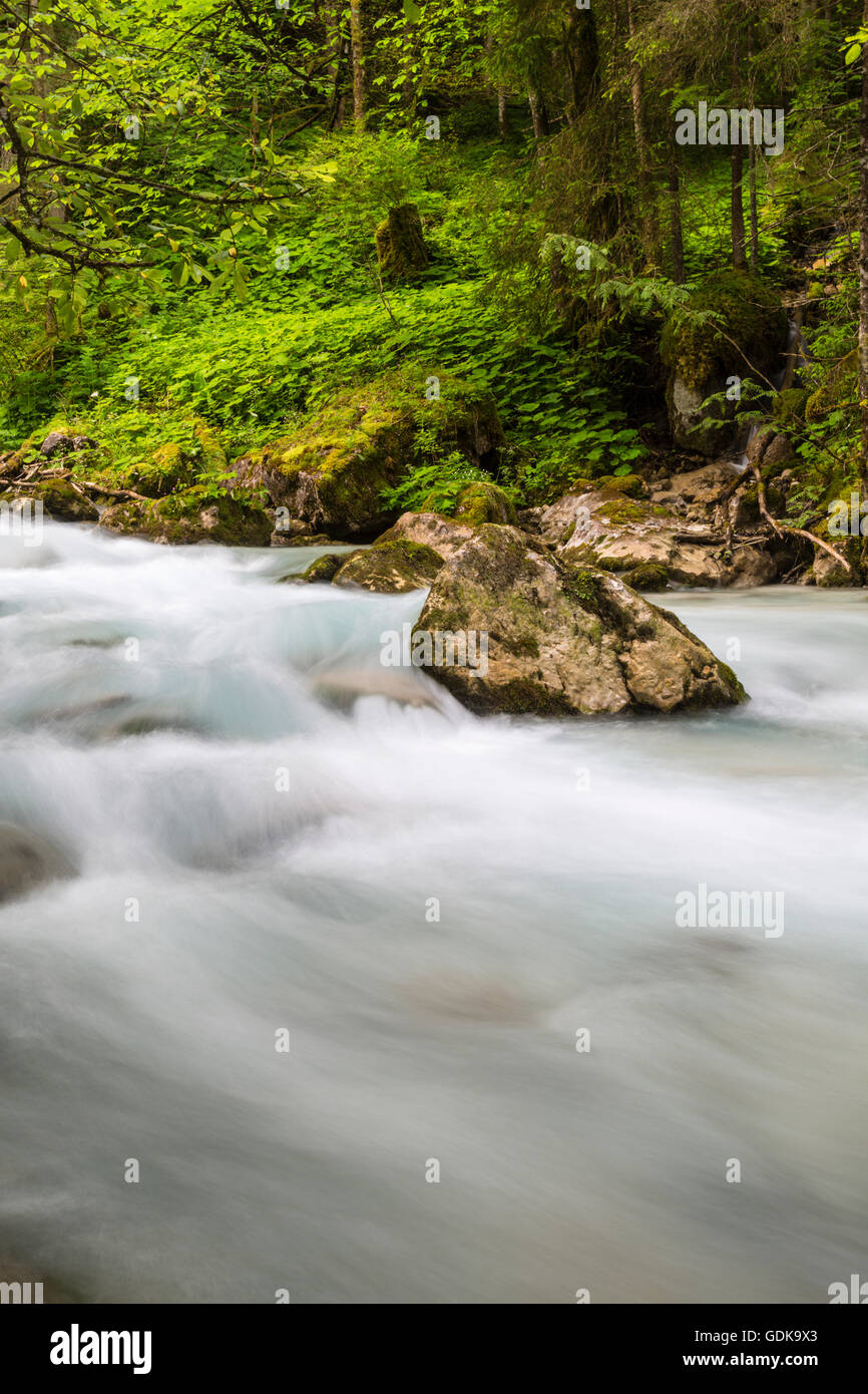 River, Forest, Hammersbach, Entry Höllentalklamm, Grainau, Bavaria ...