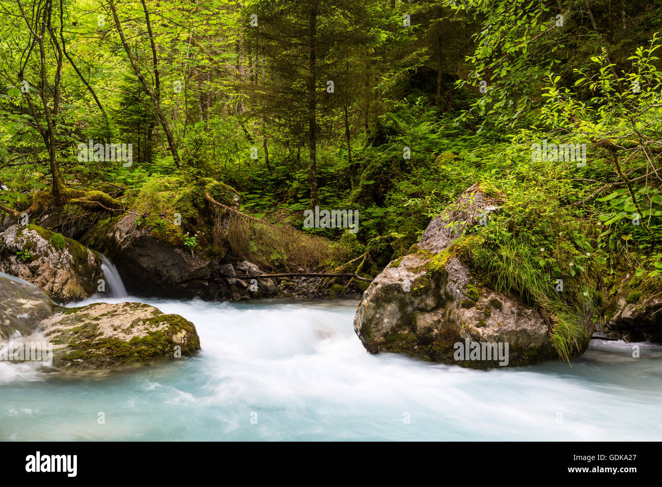 River, Forest, Hammersbach, Entry Höllentalklamm, Grainau, Bavaria ...