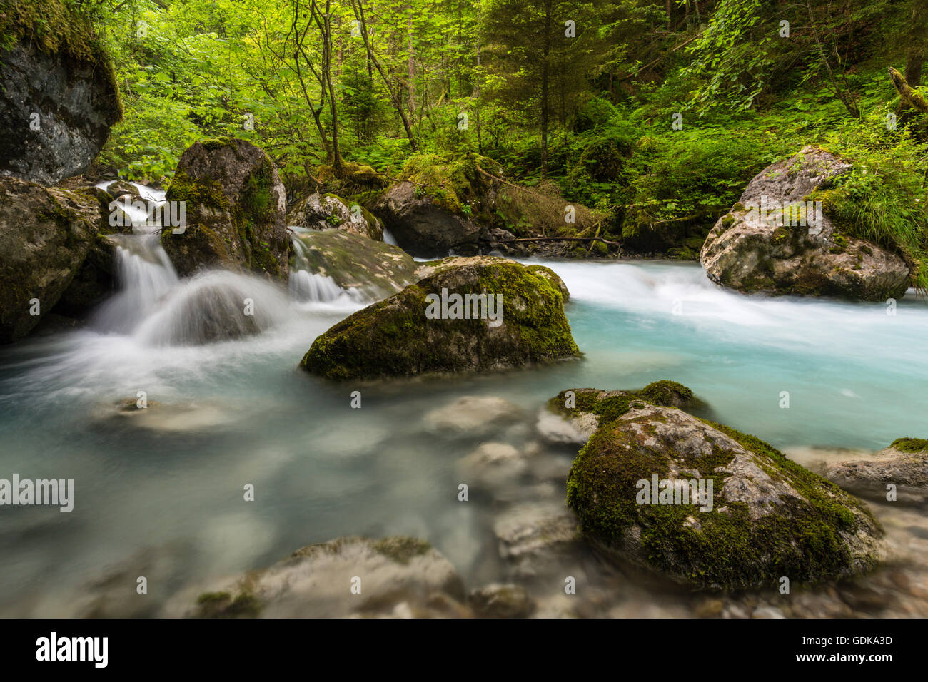 River, Forest, Hammersbach, Entry Höllentalklamm, Grainau, Bavaria ...