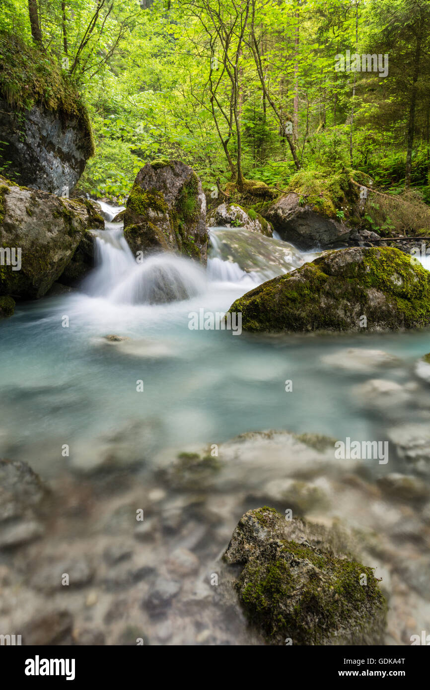 River, Forest, Hammersbach, Entry Höllentalklamm, Grainau, Bavaria ...