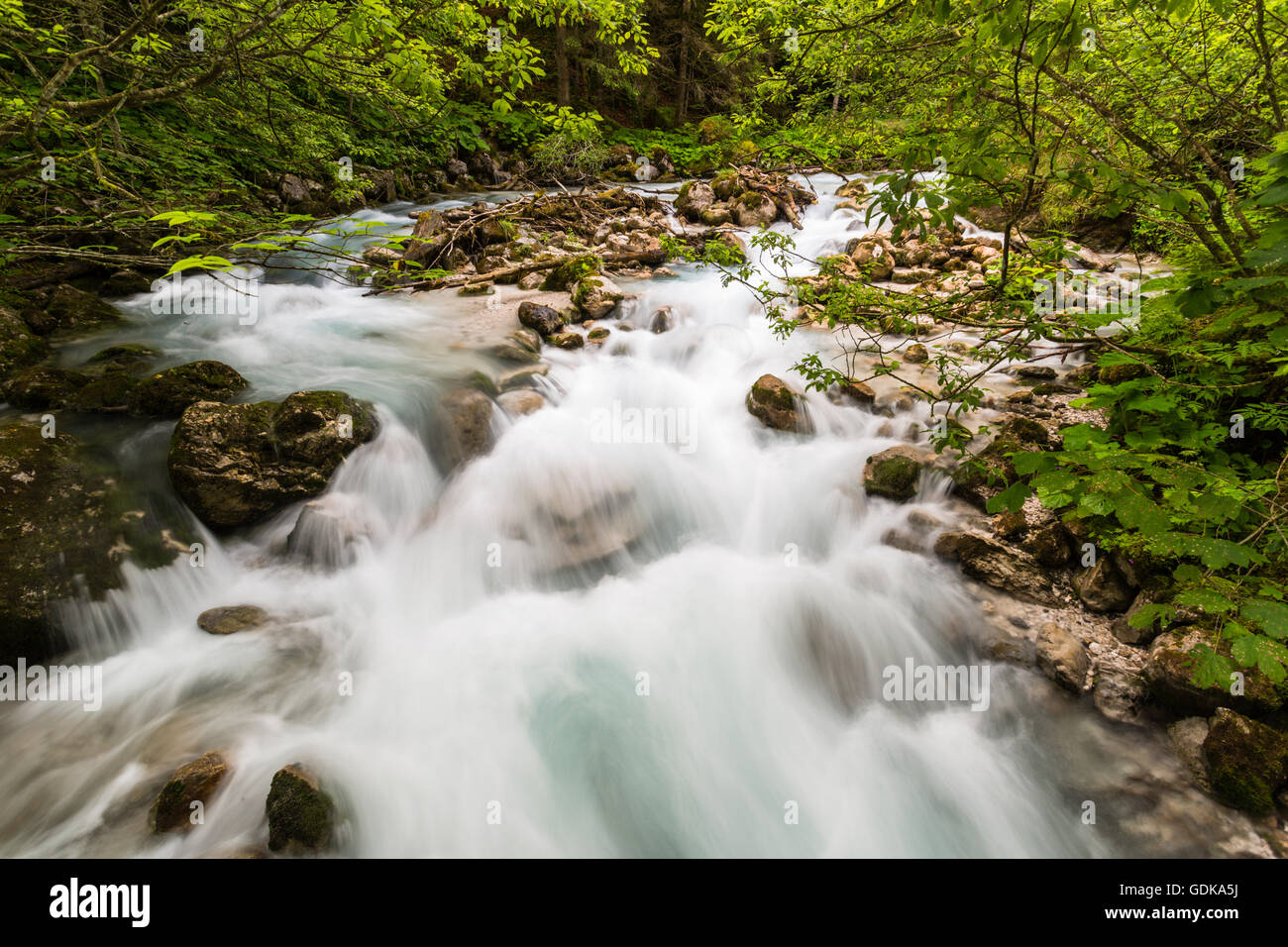 River, Forest, Hammersbach, Entry Höllentalklamm, Grainau, Bavaria ...