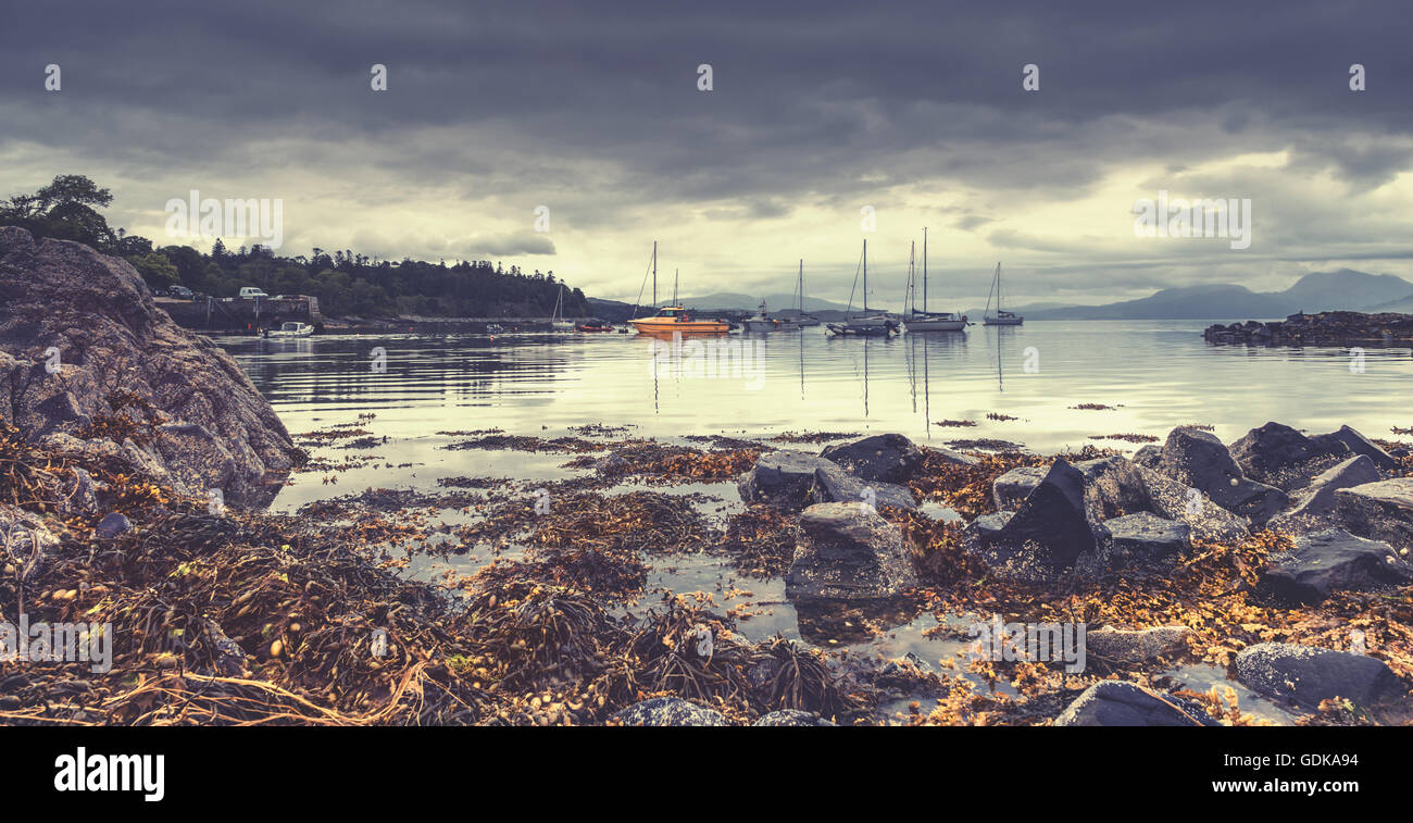Seaweed on Rocks at the Low Tide, Ardvasar Isle of Skye Stock Photo - Alamy