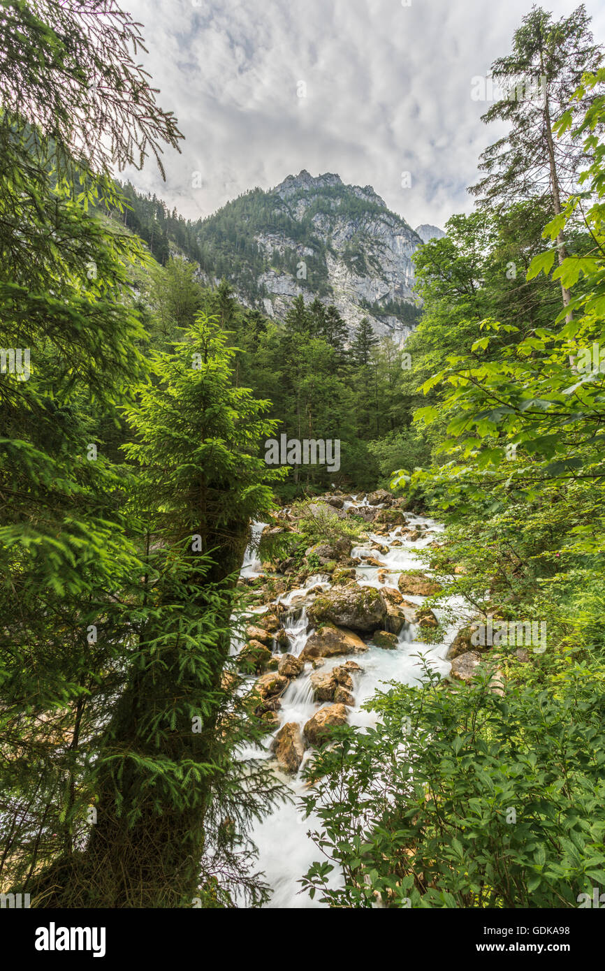 River, Forest, Hammersbach, Entry Höllentalklamm, Grainau, Bavaria ...