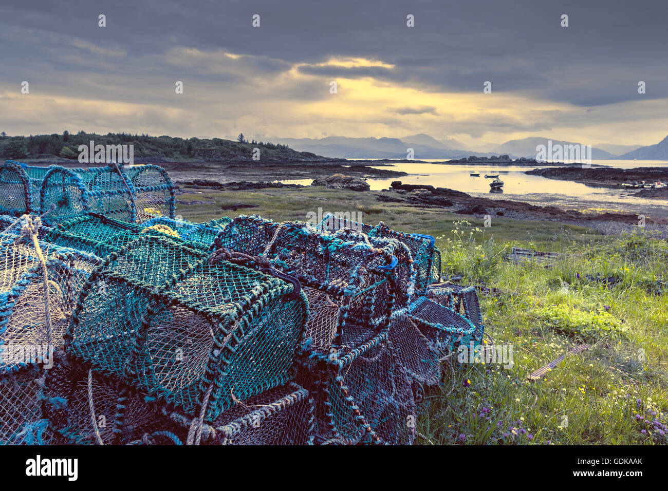 Scottish crab hi-res stock photography and images - Alamy