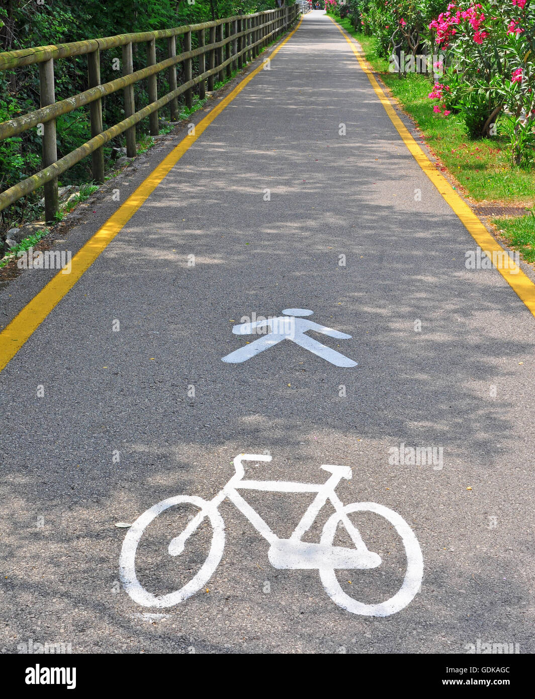 Bike and pedestrian zone in the park Stock Photo - Alamy