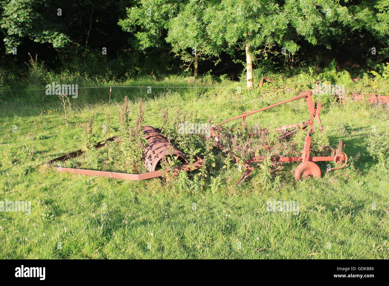 farm equipment in field and sunshine with weeds growing through it ...