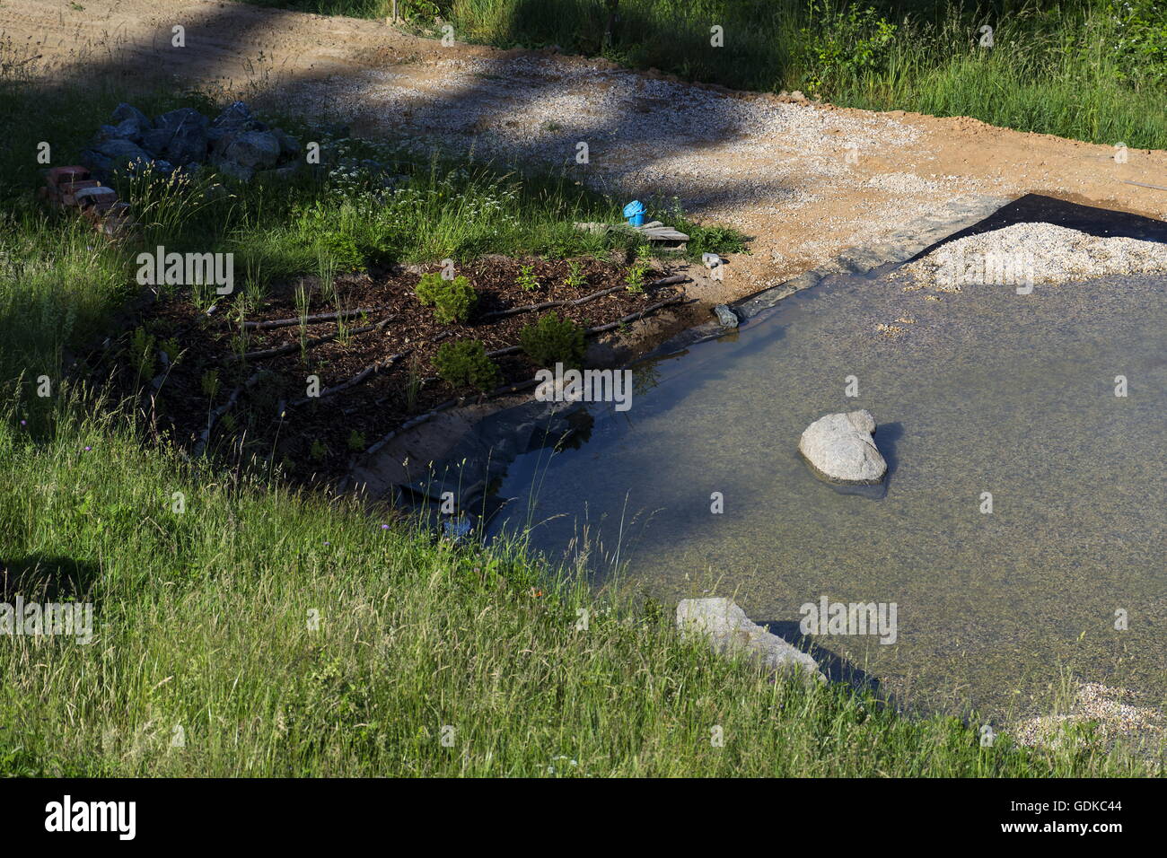 Natural swimming pond purifying water without chemicals through filters ...