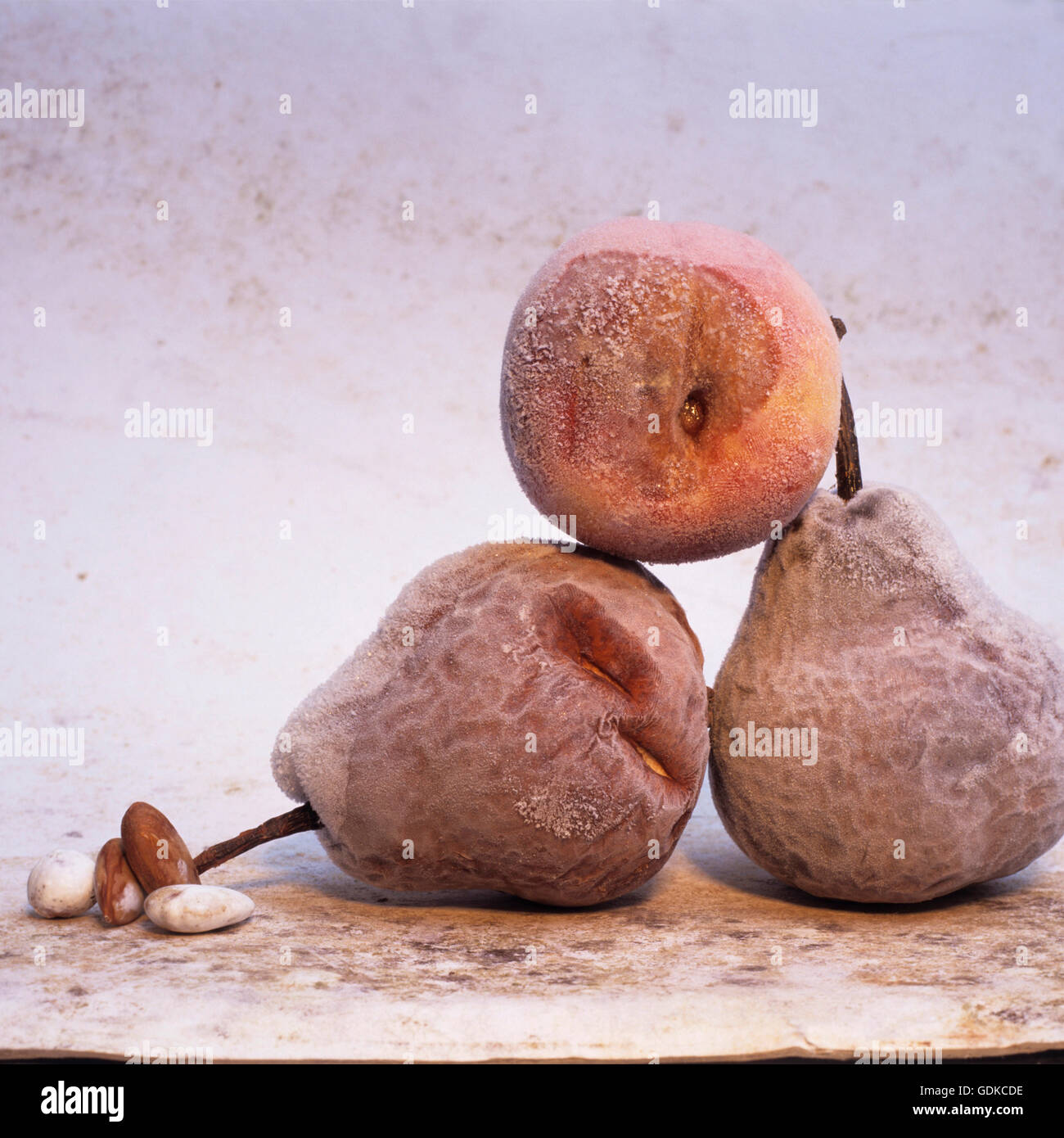 Rotten Apple Inside High Resolution Stock Photography and Images - Alamy