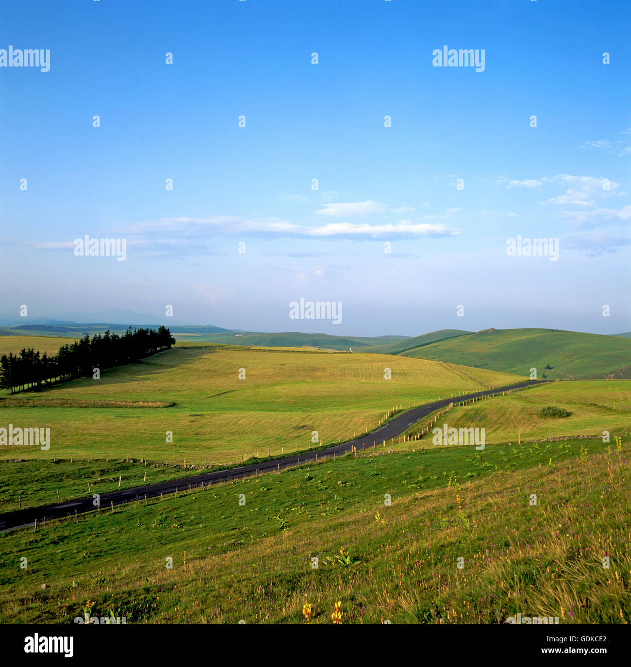 Country road through rolling hills hi-res stock photography and images ...