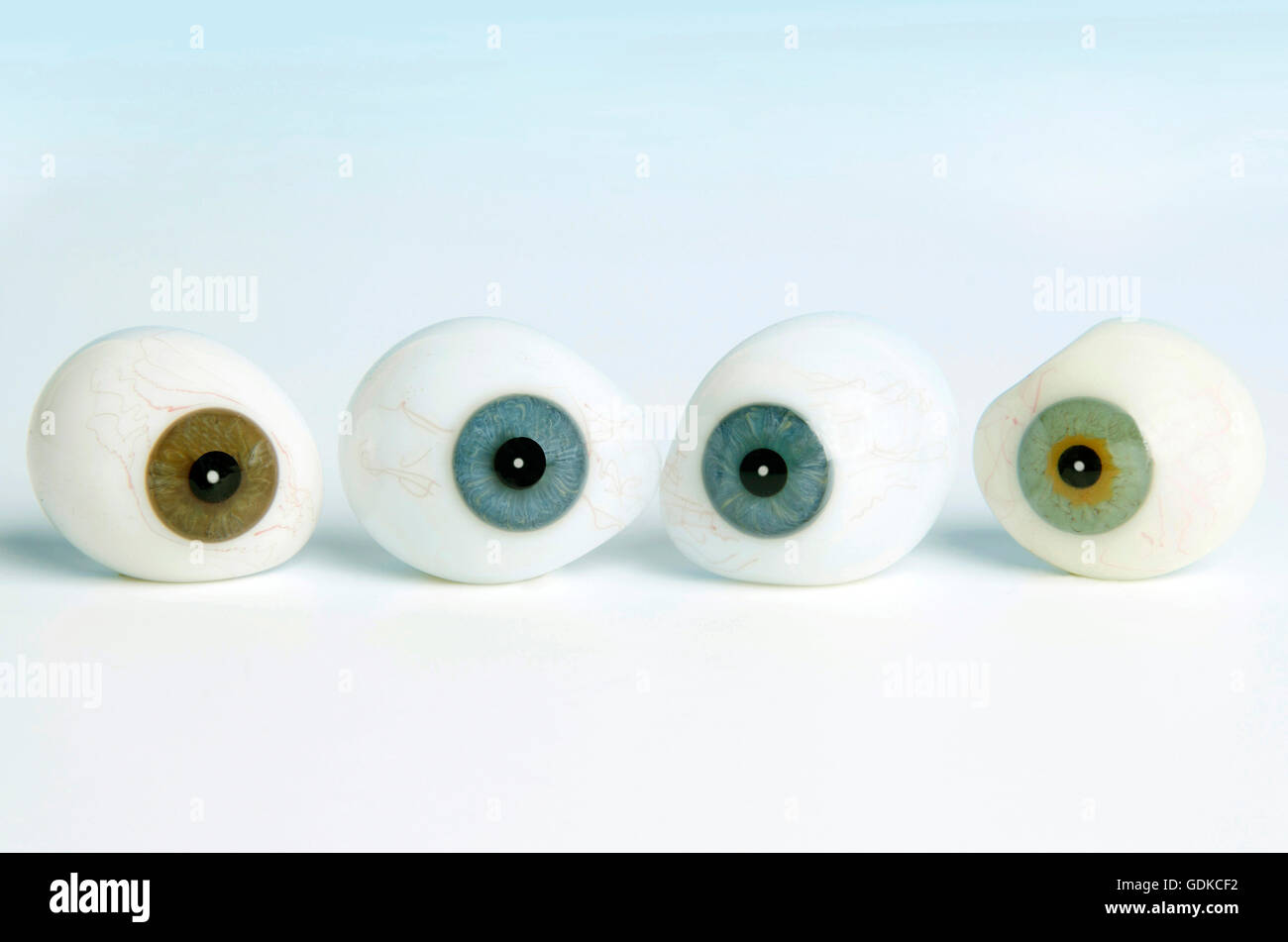Eyeballs closeup hi-res stock photography and images - Alamy