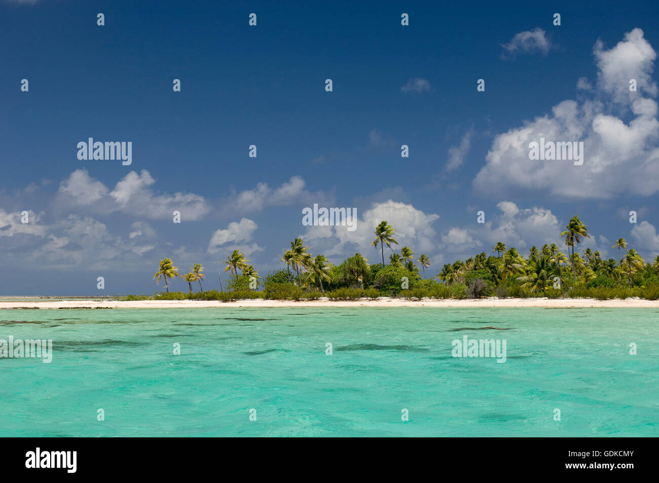 Tikehau coral atoll, Tuamotu Archipelago, French Polynesia, Pacific ...